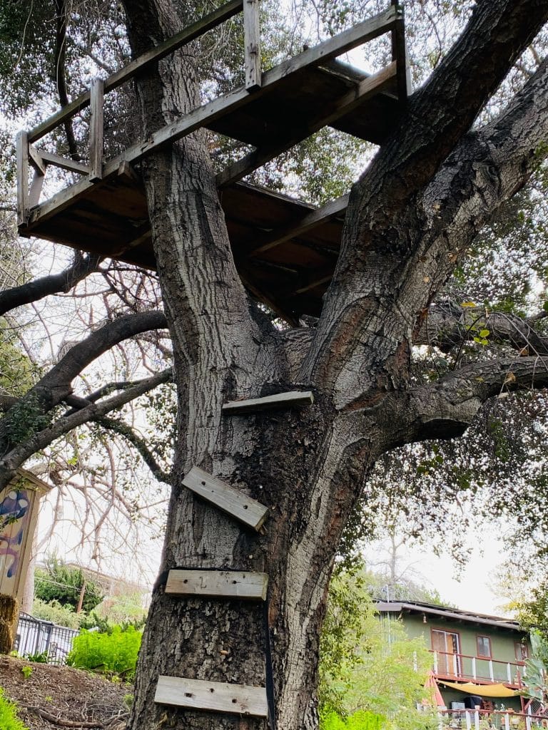 Divorce Mediation in San Diego: Building Tree Forts and Strengthening ...